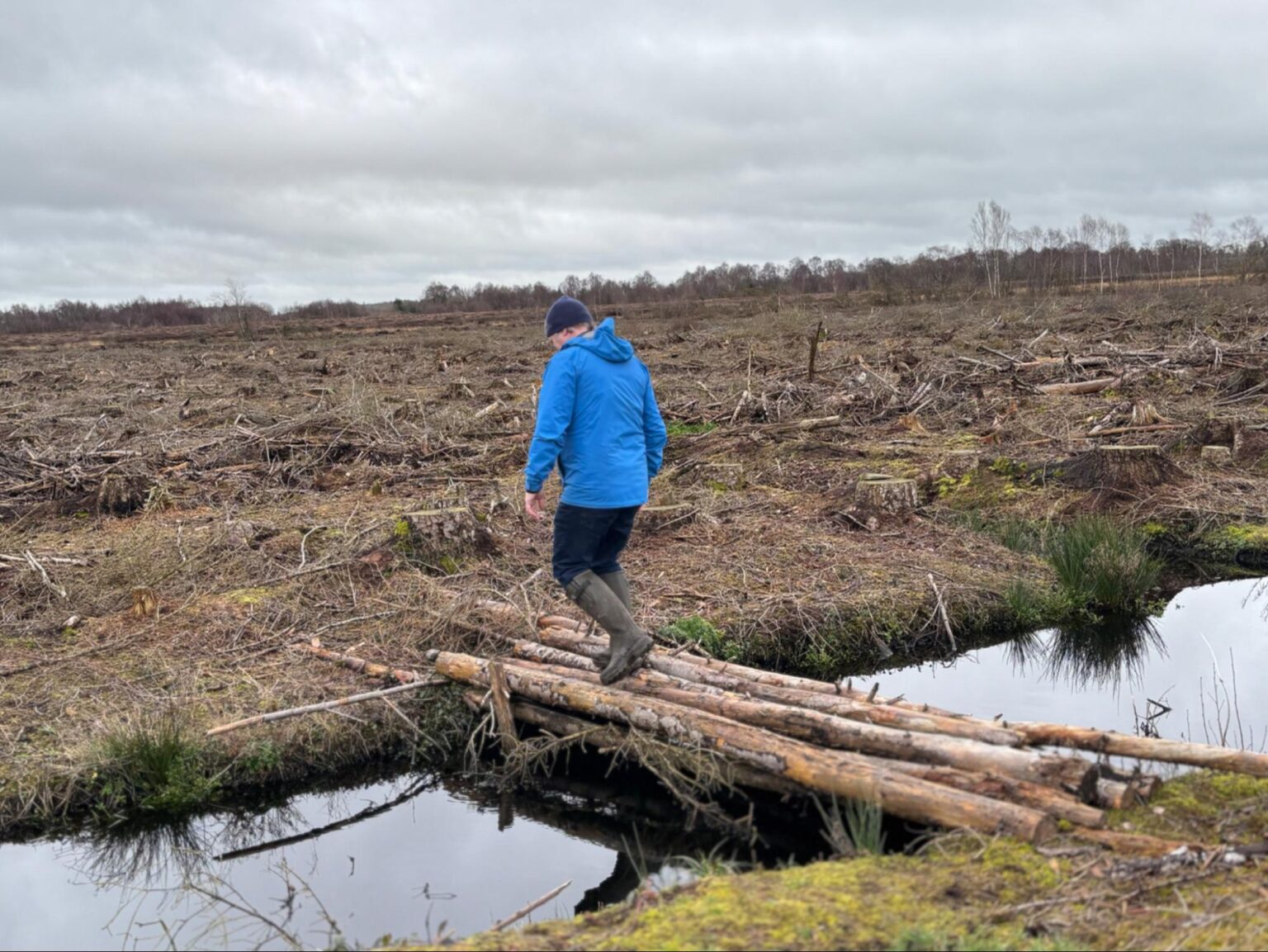 Life springing back into Scohaboy Bog, Co Tipperary - Tóchar Wetlands